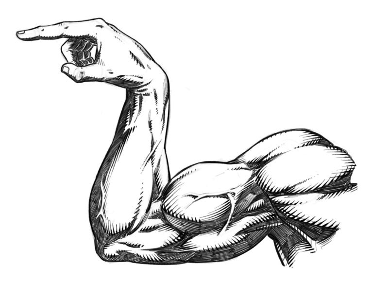 How to Draw a Muscular Arm Pose – Step by Step – Tutorial - Ram Studios ...