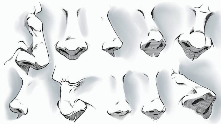 How to Draw Noses with Basic Steps – Like a Pro! - Ram Studios Comics