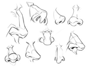 How to Draw Noses with Basic Steps – Like a Pro! - Ram Studios Comics