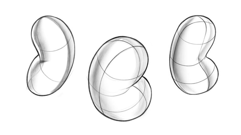 How to Draw the Torso with the Bean Shape Method - Ram Studios Comics